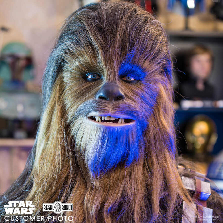 1:1 Chewbacca™ Busts - Customer Reviews and Pics! - Regal Robot